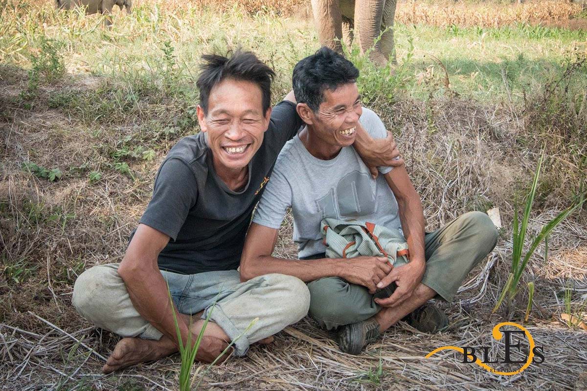 Boon Lott’s Elephant Sanctuary: Founder story | King Living